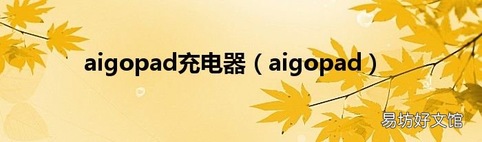 aigopad aigopad充电器 _易坊