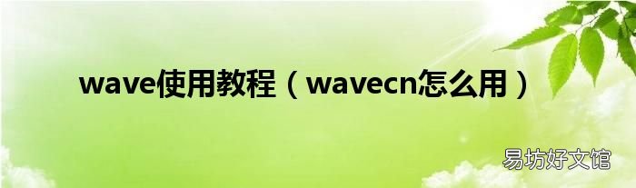 wavecn怎么用 wave使用教程 _易坊