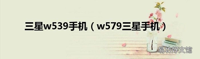 w579三星手机 三星w539手机 _易坊